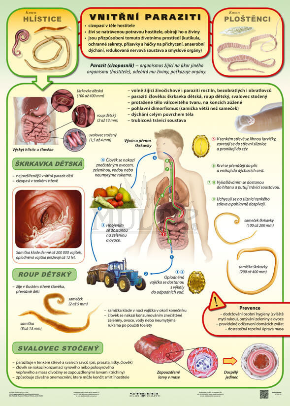 Vnitřní paraziti A4