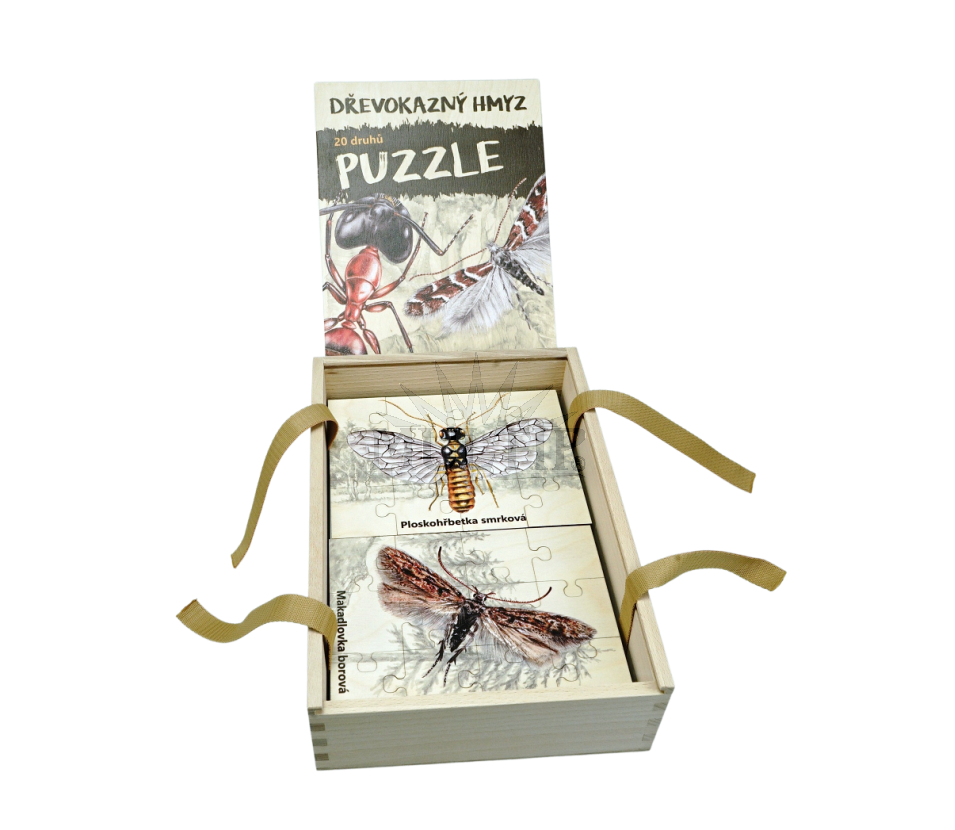 Sada puzzle dřevokazný hmyz